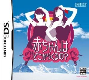 The Rub Rabbits! DS Front cover