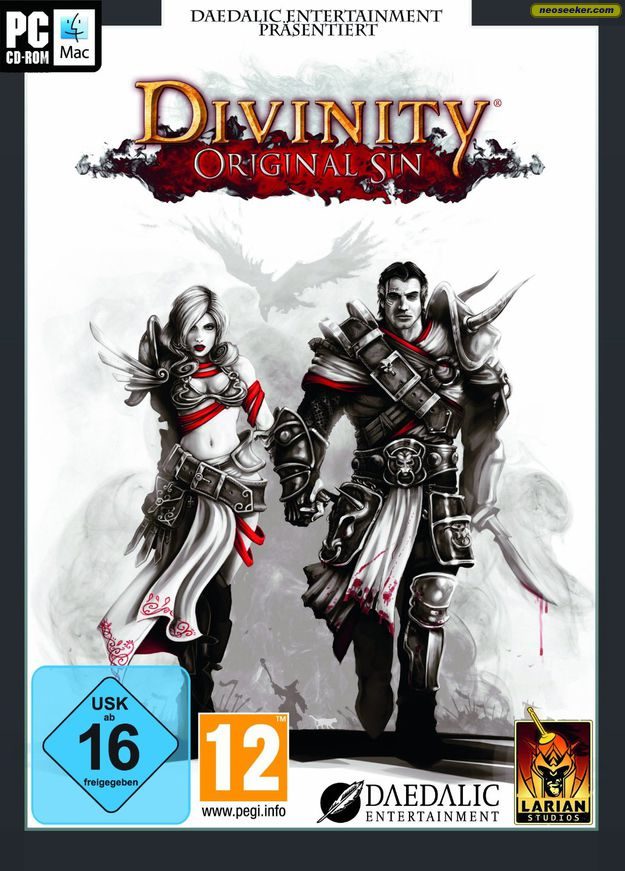 Divinity: Original Sin PC Front cover