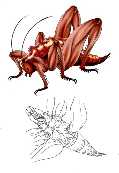 Escape from Bug Island Concept Art