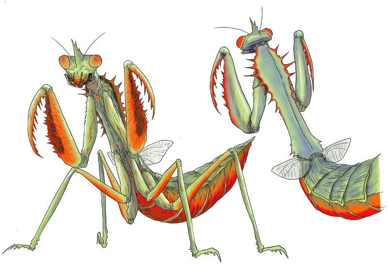 Escape from Bug Island Concept Art