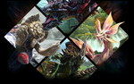 Monster Hunter Generations Concept Art