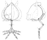 Oddworld: Munch's Oddysee Concept Art