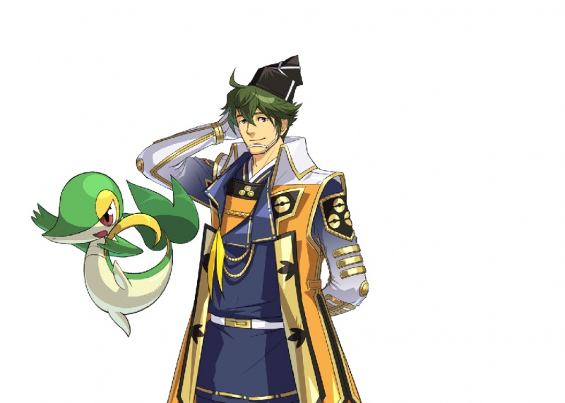 Pokémon Conquest Concept Art
