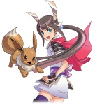Pokémon Conquest Concept Art