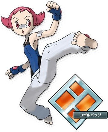 Maylene Pokemon Gym