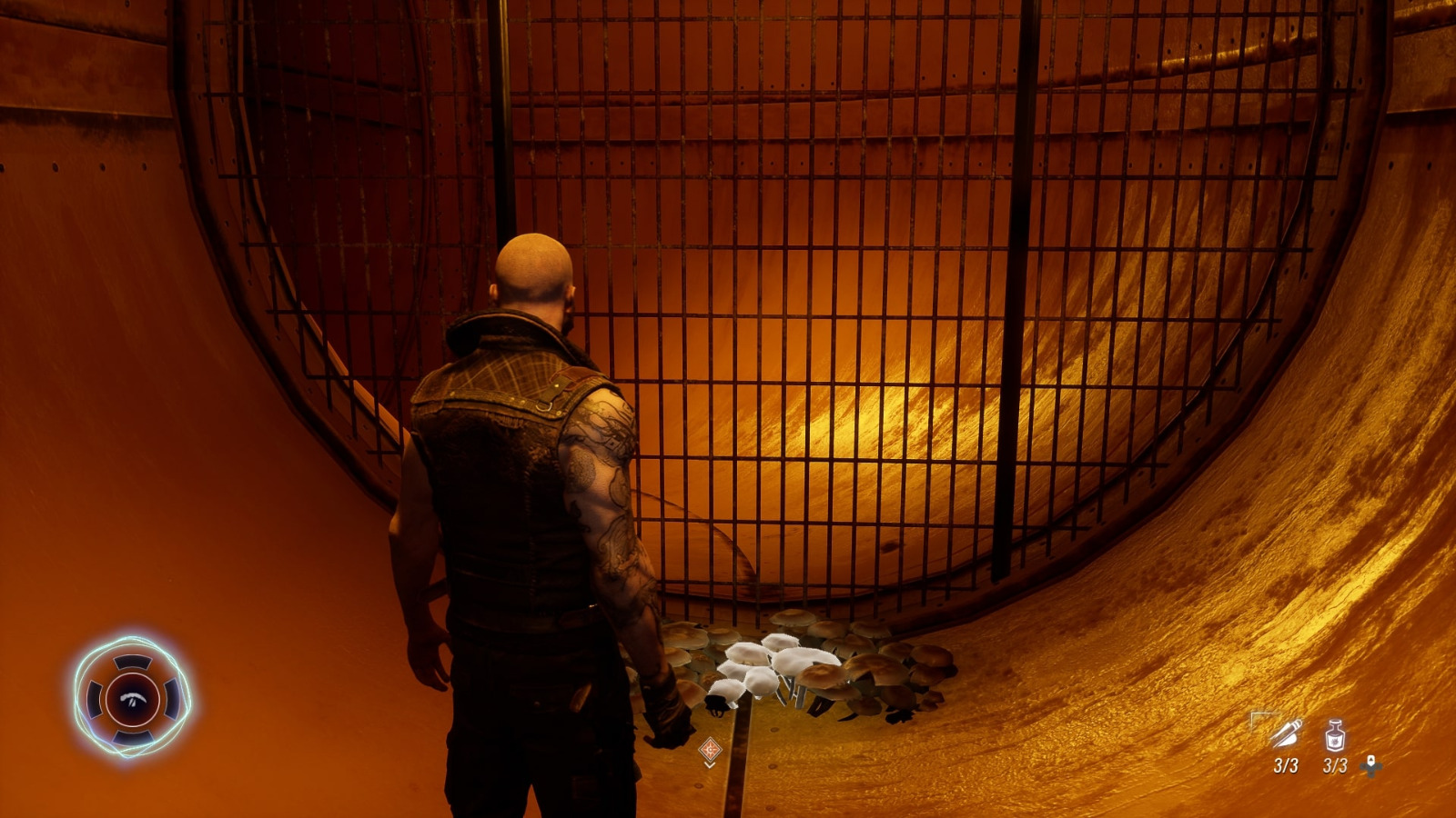 Endron Training Site - Werewolf: The Apocalypse - Earthblood ...