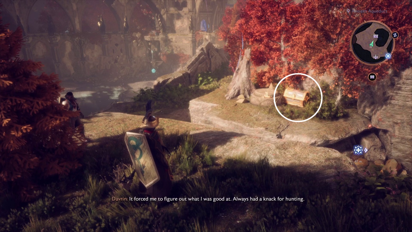 Dragon Age: The Veilguard - How to Train a Griffon Walkthrough - Neoseeker