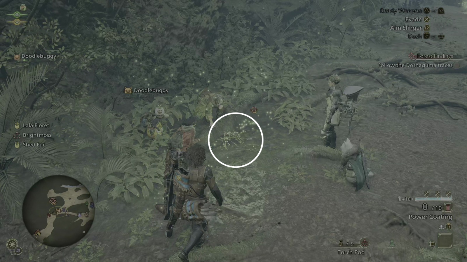 Forest Findings - Monster Hunter Wilds Walkthrough - Neoseeker