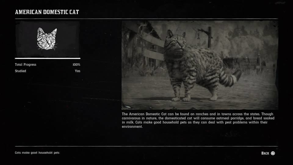 Hunting Page 2 - Red Dead Redemption 2 Walkthrough - Neoseeker