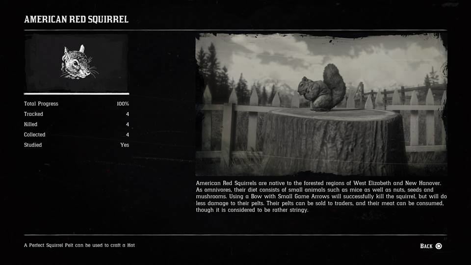 Hunting Page 10 - Red Dead Redemption 2 Walkthrough - Neoseeker