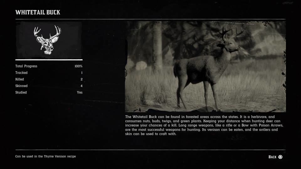 Hunting Page 1 - Red Dead Redemption 2 Walkthrough - Neoseeker