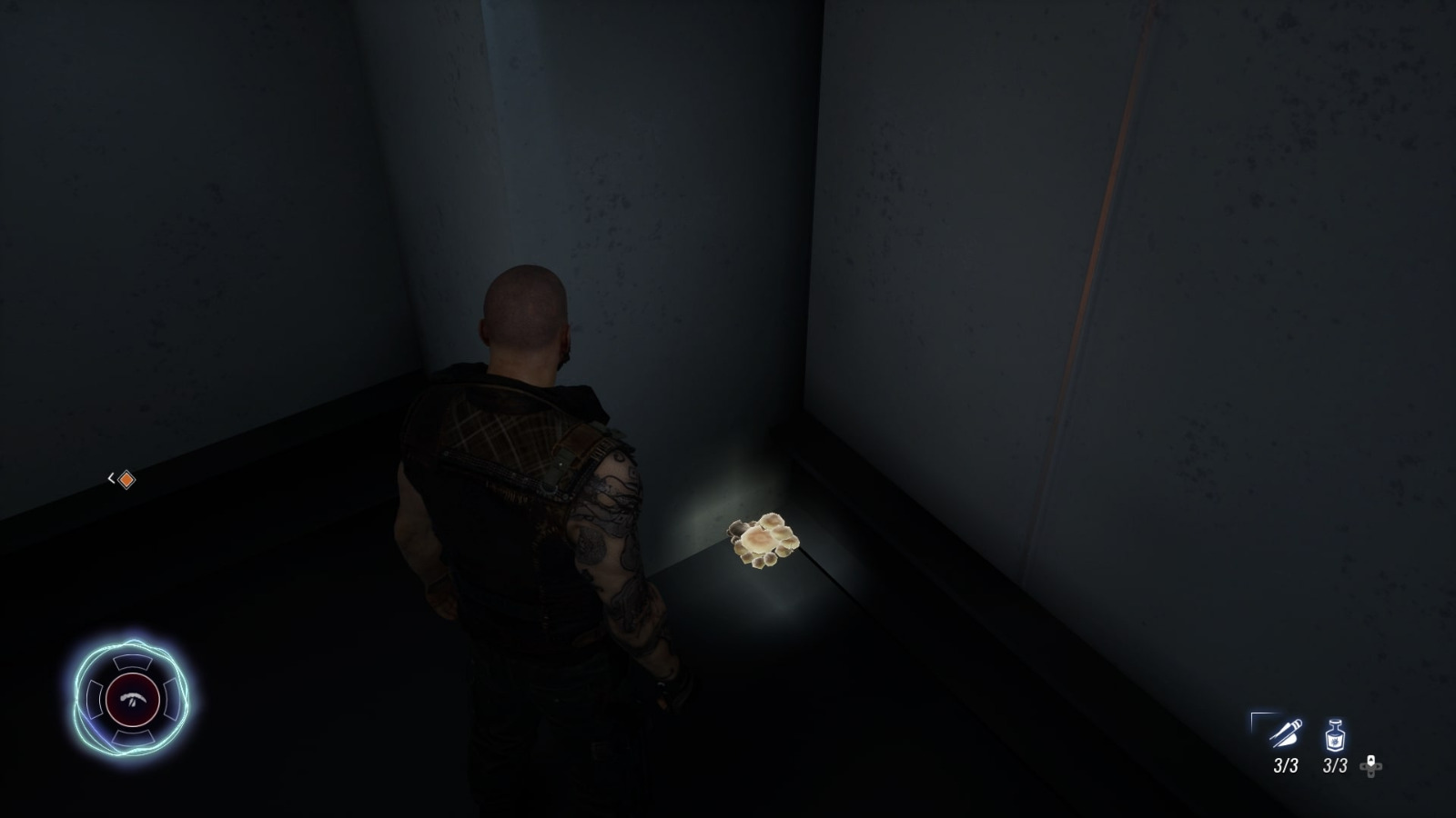 Endron Training Site - Werewolf: The Apocalypse - Earthblood ...