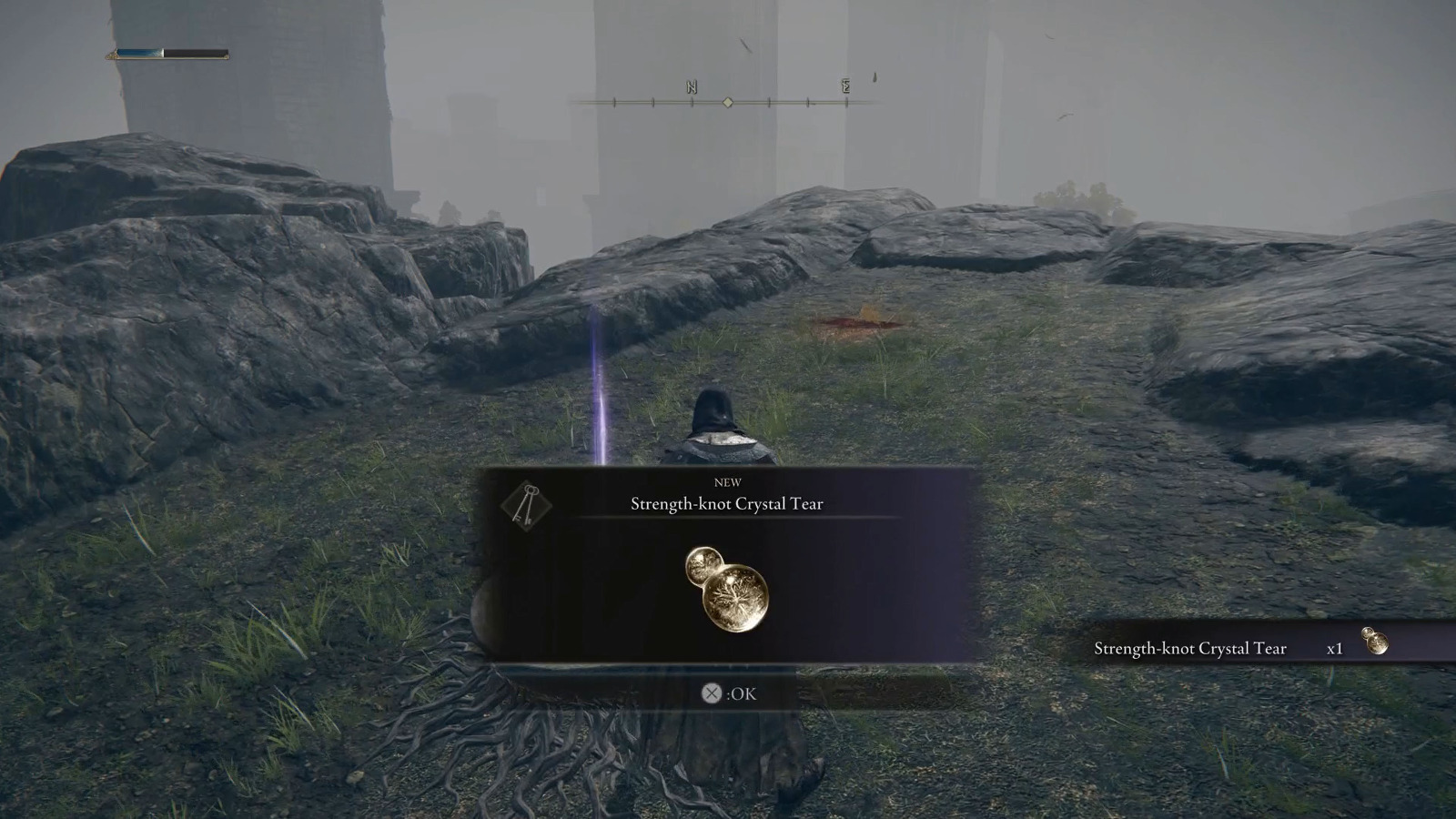 Stormhill - Elden Ring Walkthrough - Neoseeker