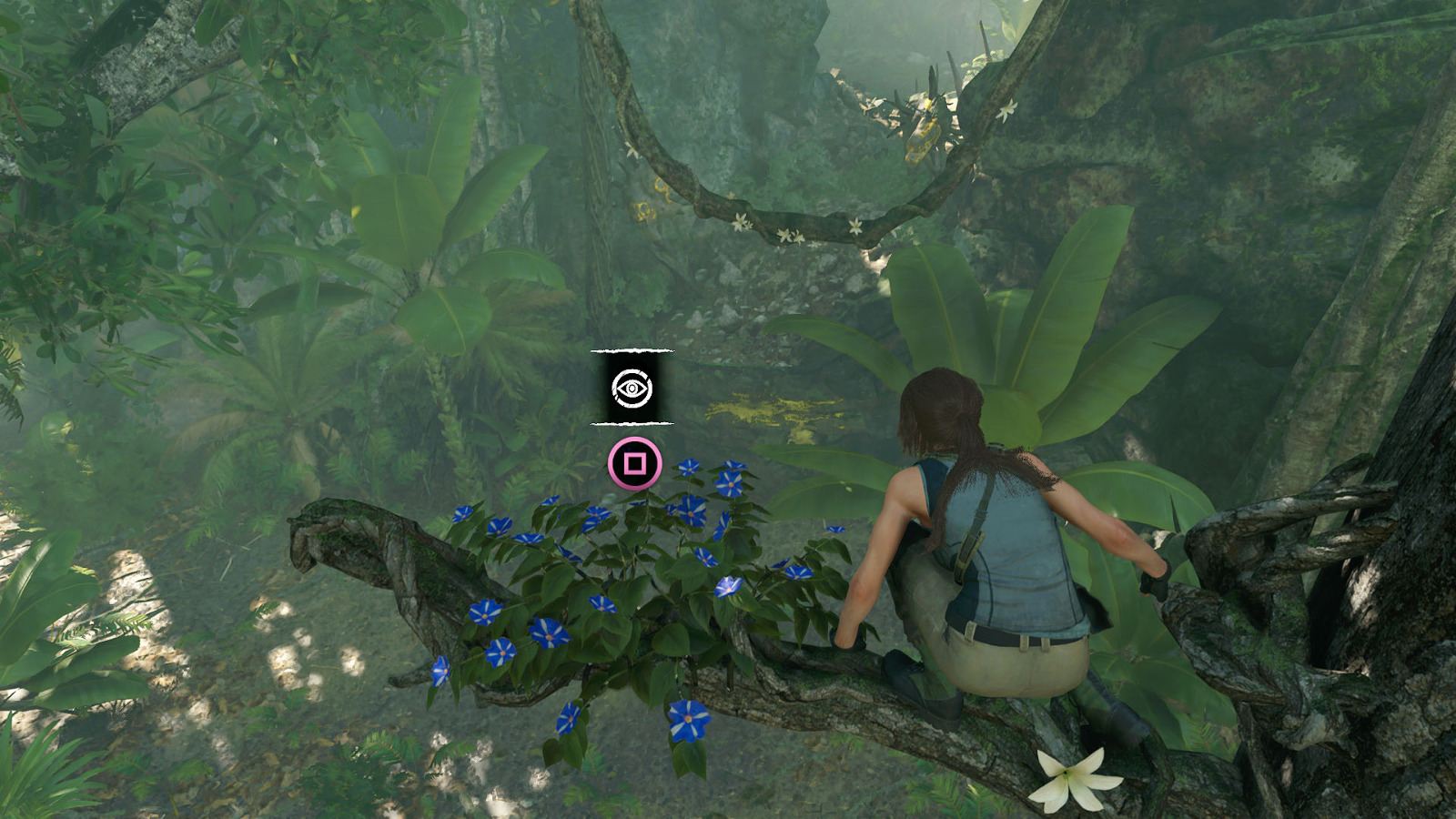 Challenge: Flower Picker - Shadow of the Tomb Raider Walkthrough ...