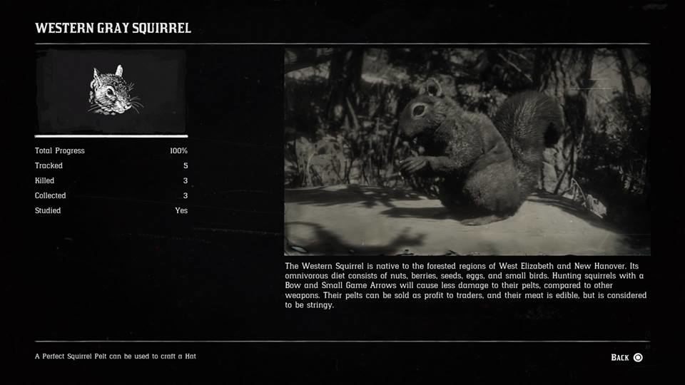 Hunting Page 10 - Red Dead Redemption 2 Walkthrough - Neoseeker