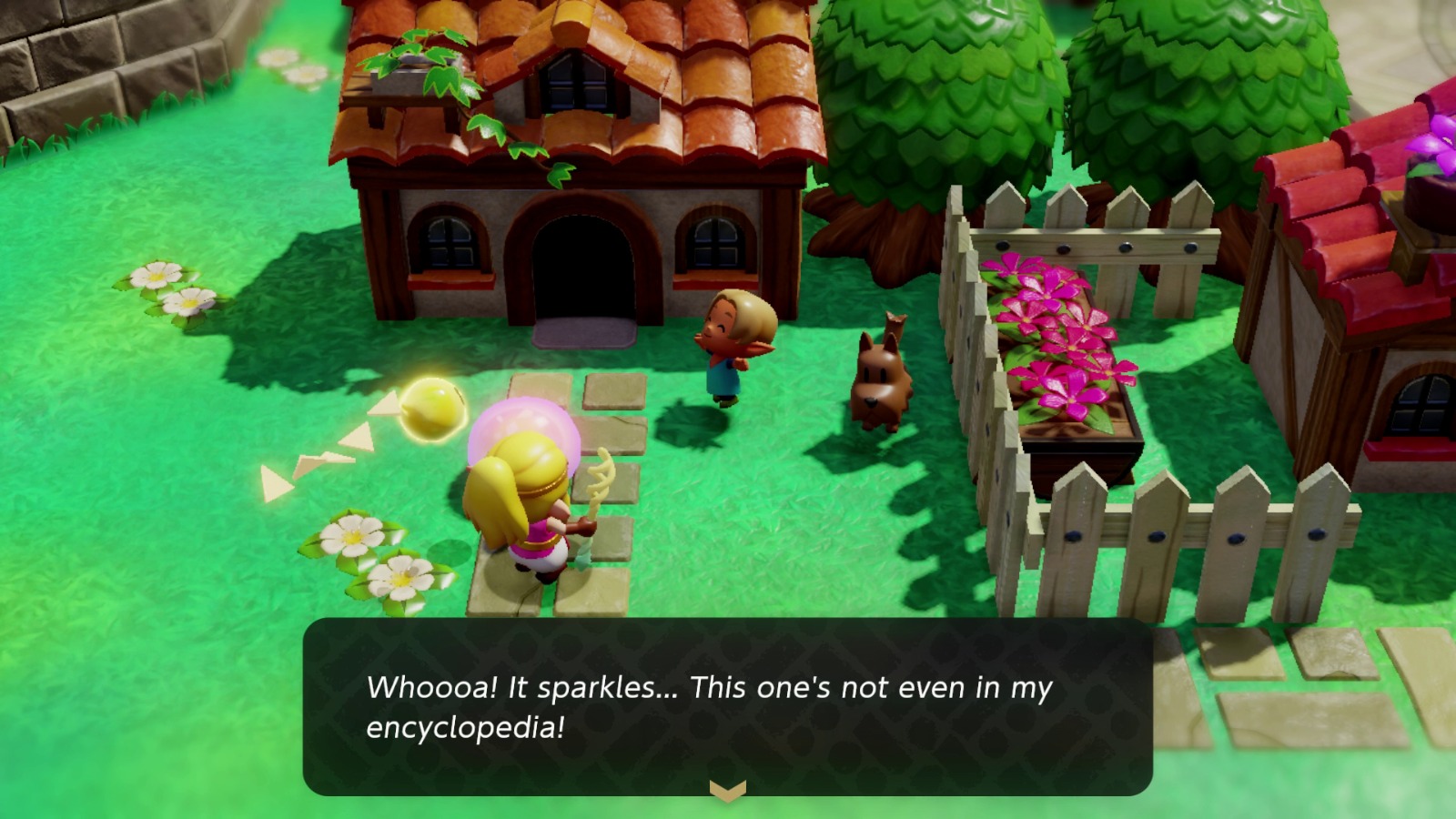 Side Quest: An Out-There Zol - The Legend of Zelda: Echoes of Wisdom ...