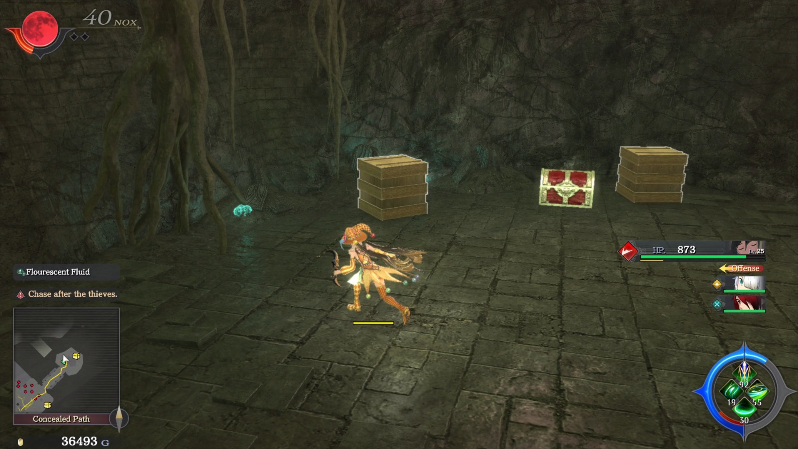 Ys IX: Monstrum Nox - Concealed Path Walkthrough - Neoseeker