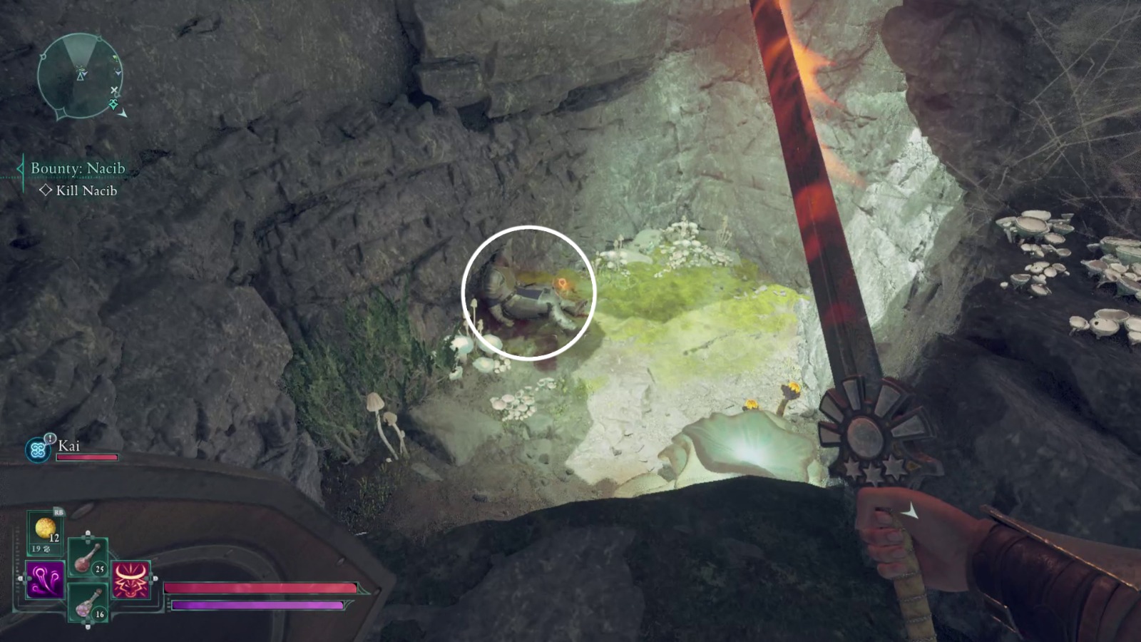 Avowed - Bounty: Nacib Walkthrough - Neoseeker