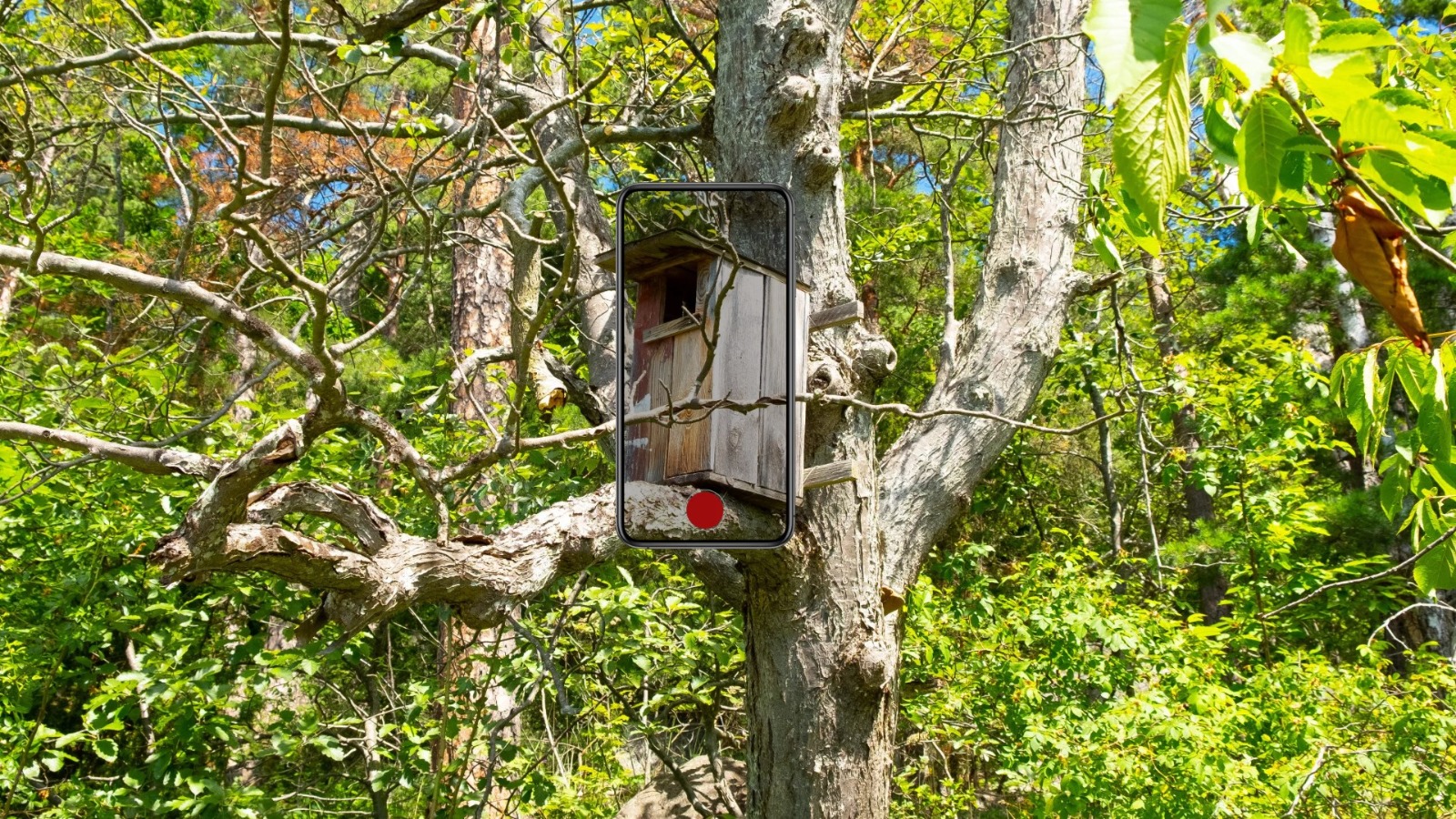 Westbay Shoreside (II) - The Game Maker Walkthrough - Neoseeker