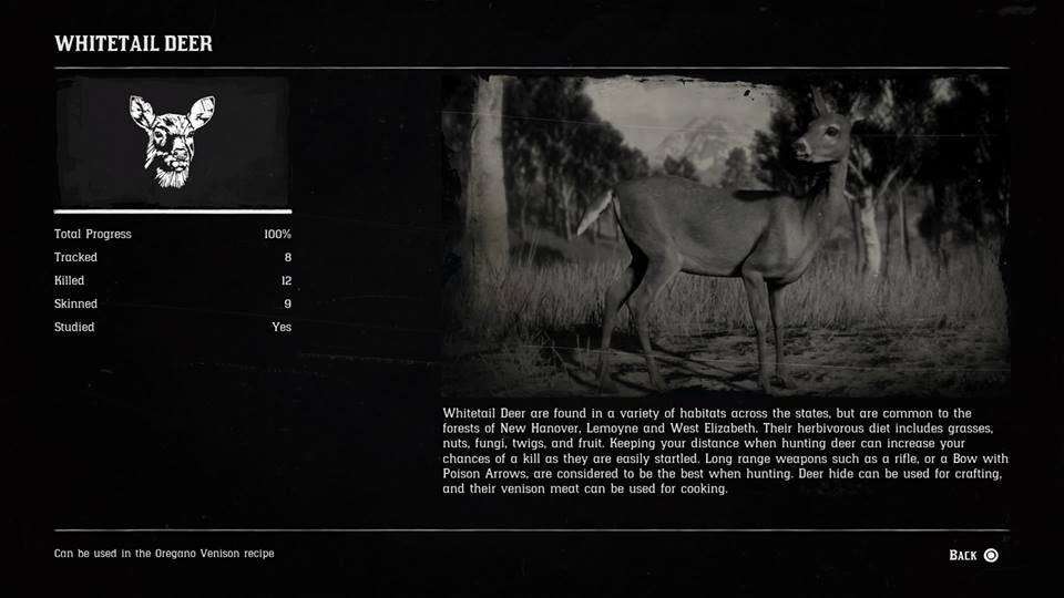 Hunting Page 1 - Red Dead Redemption 2 Walkthrough - Neoseeker