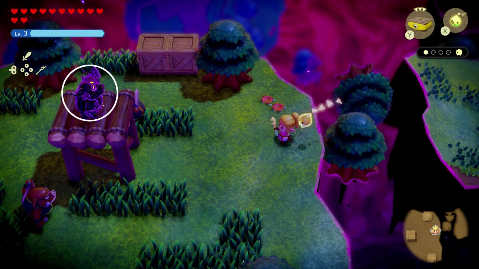 Optional Rift: Stilled Lower Suthorn Forest Rift - The Legend of Zelda ...