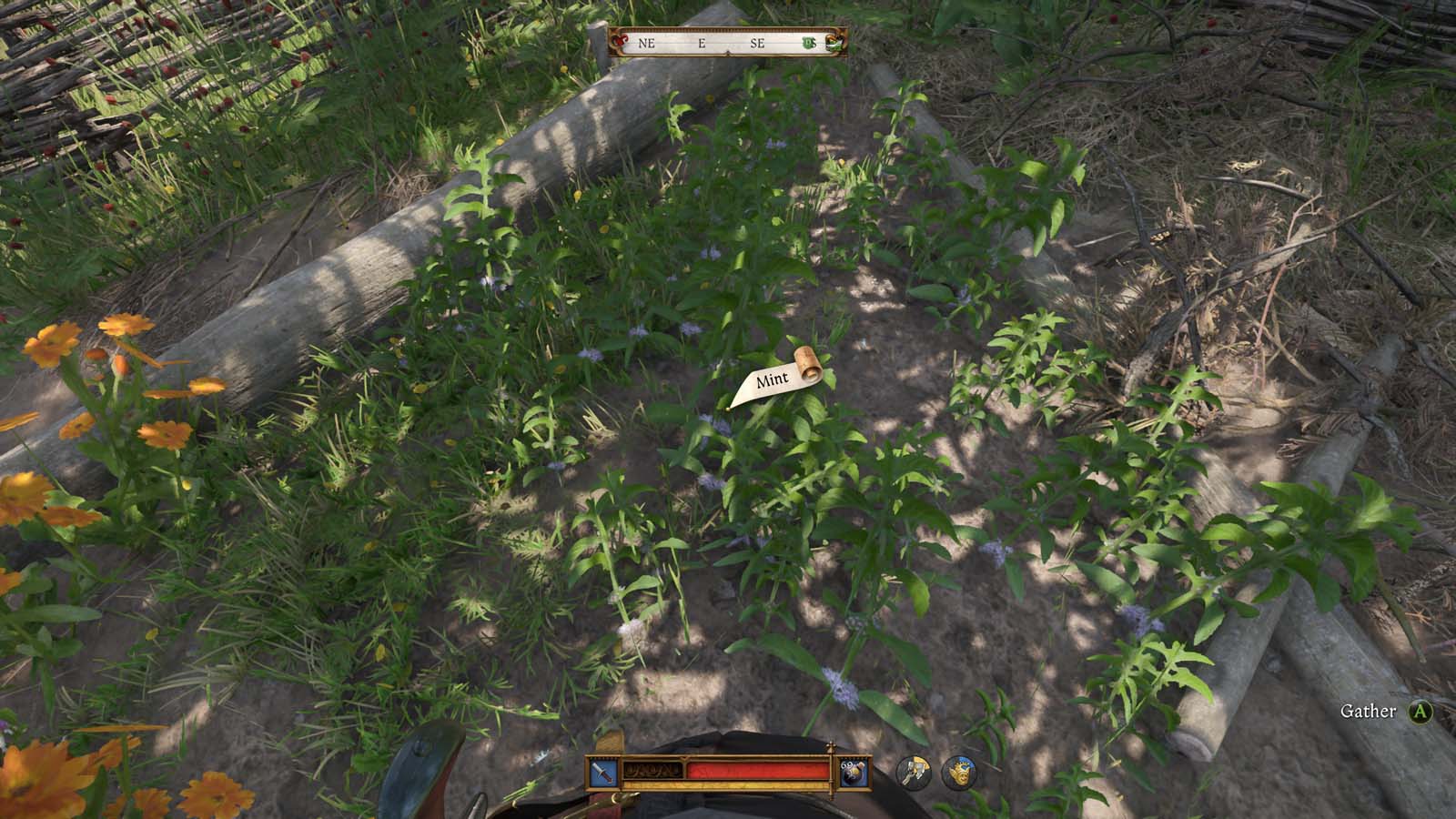 Herb Location Guide - Kingdom Come: Deliverance II - Neoseeker