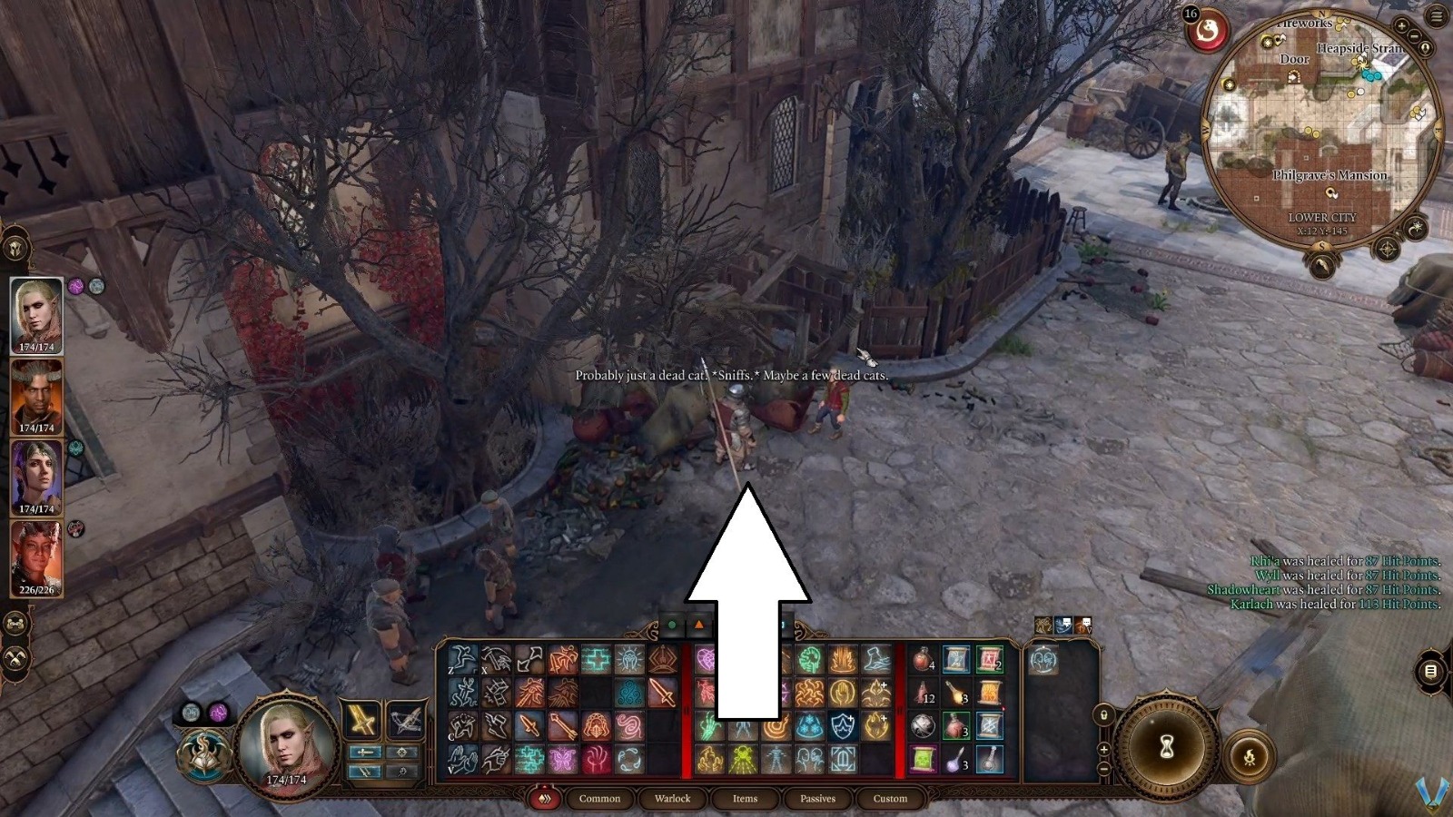 Baldur's Gate 3 - Find Mystic Carrion's Servant Walkthrough - Neoseeker