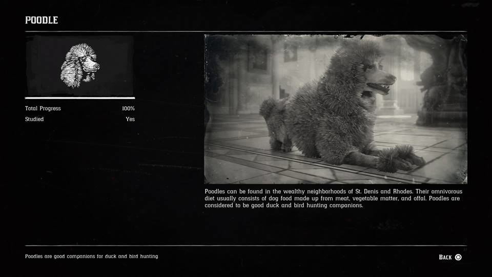 Hunting Page 4 - Red Dead Redemption 2 Walkthrough - Neoseeker