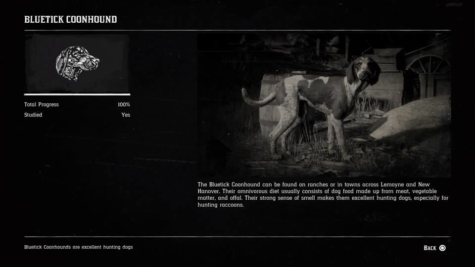 Hunting Page 3 - Red Dead Redemption 2 Walkthrough - Neoseeker