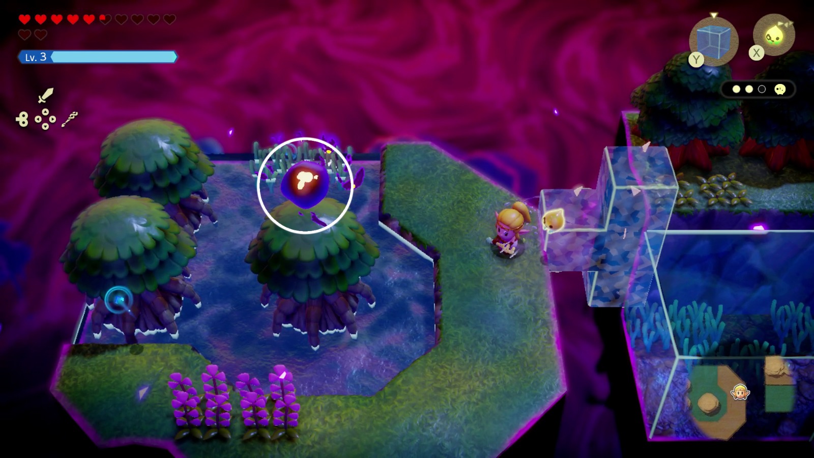 Optional Rift: Stilled Eastern Zora River - The Legend of Zelda: Echoes ...