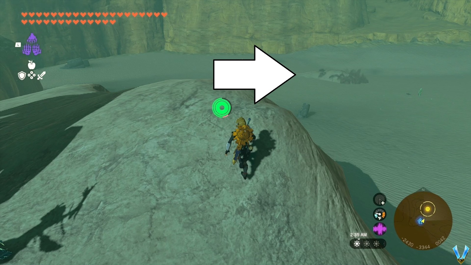 Tears of the Kingdom - WANTED: Molduga Walkthrough - The Legend of ...