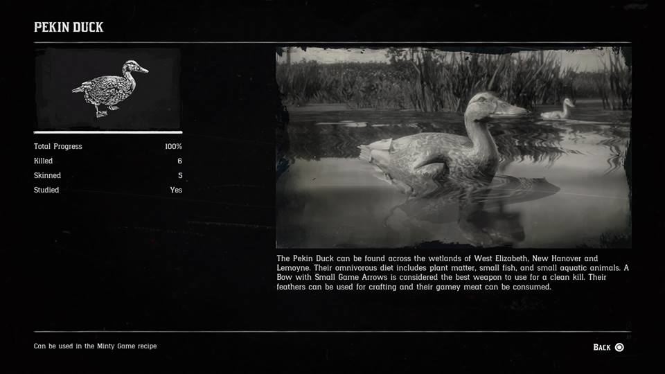 Hunting Page 4 - Red Dead Redemption 2 Walkthrough - Neoseeker