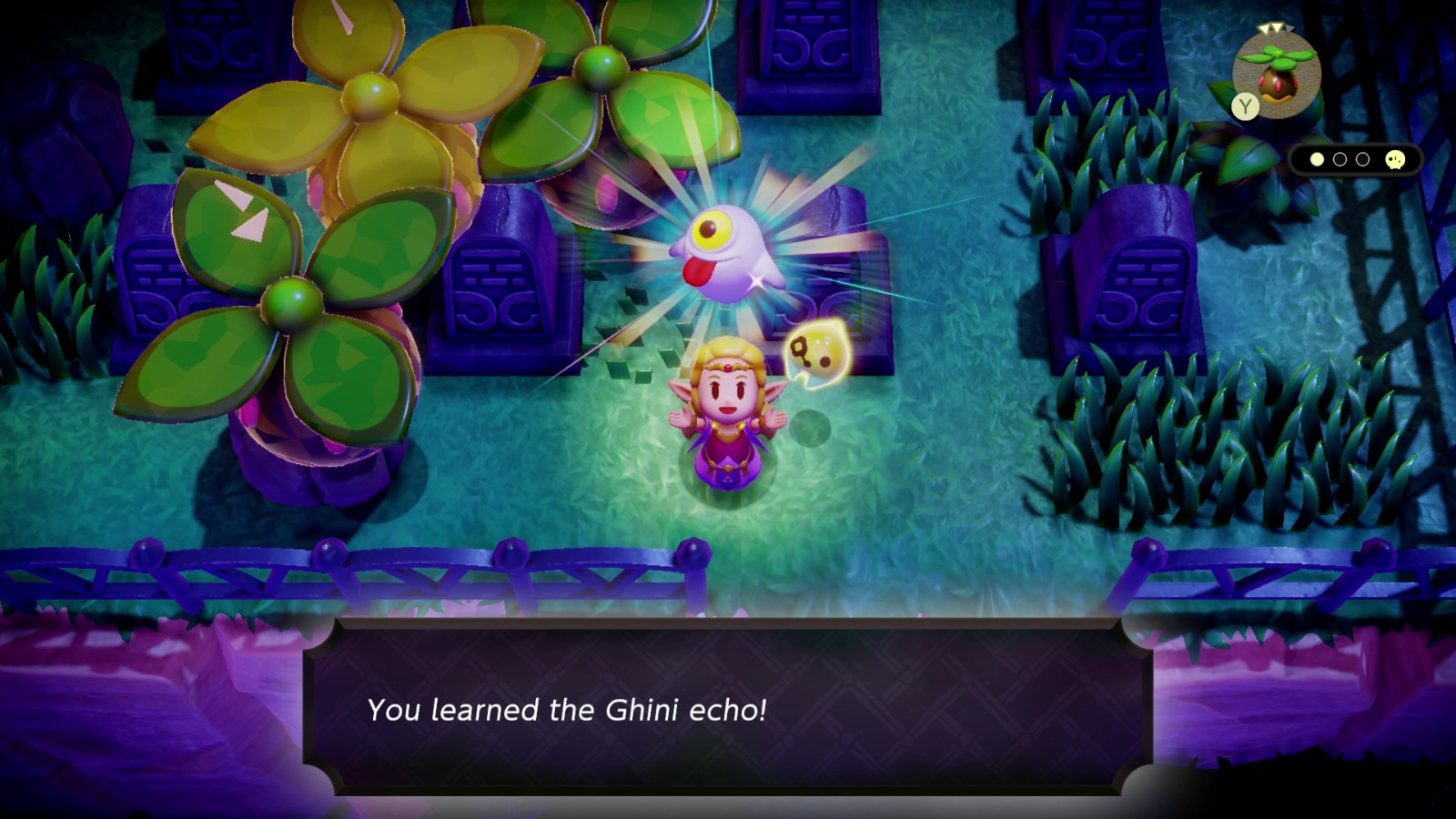 Stilled Northern Sanctuary Rift - The Legend of Zelda: Echoes of Wisdom ...