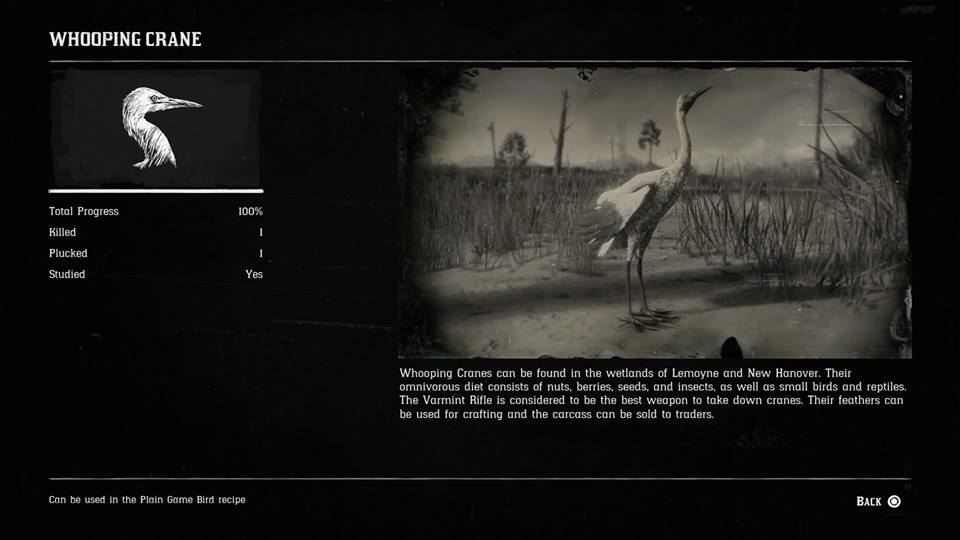 Hunting Page 3 - Red Dead Redemption 2 Walkthrough - Neoseeker