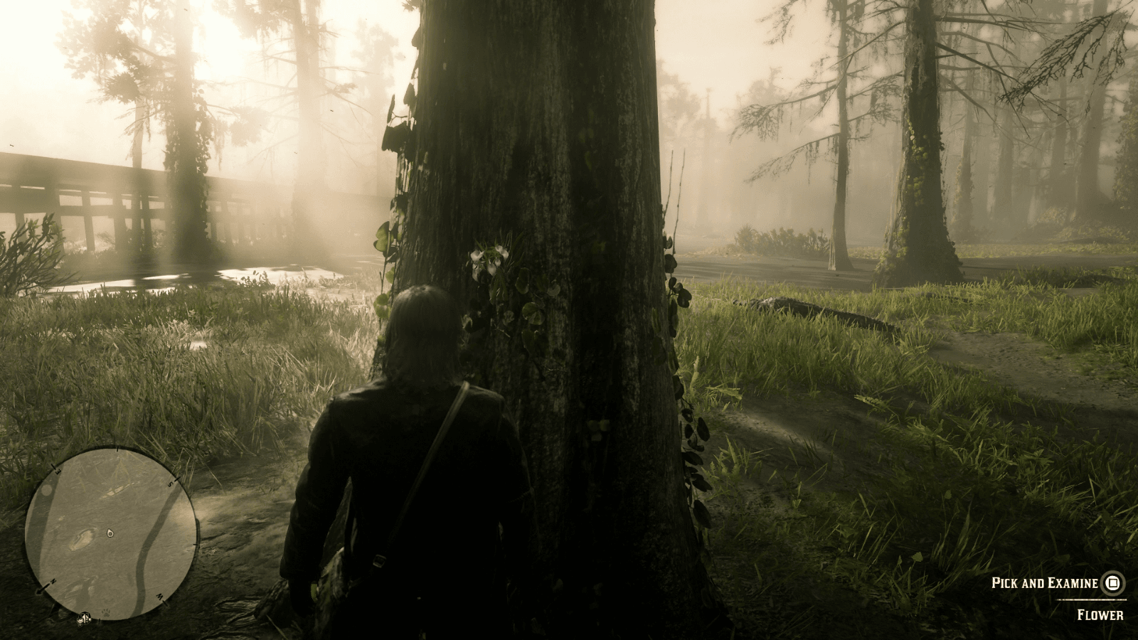 Exotics Collectibles - Red Dead Redemption 2 Walkthrough - Neoseeker