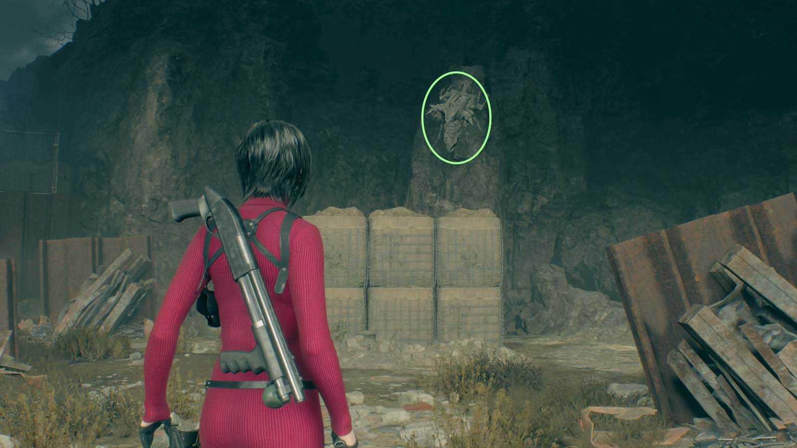 Bug Buster 2 Request Guide - Resident Evil 4 Remake (2023) - Neoseeker