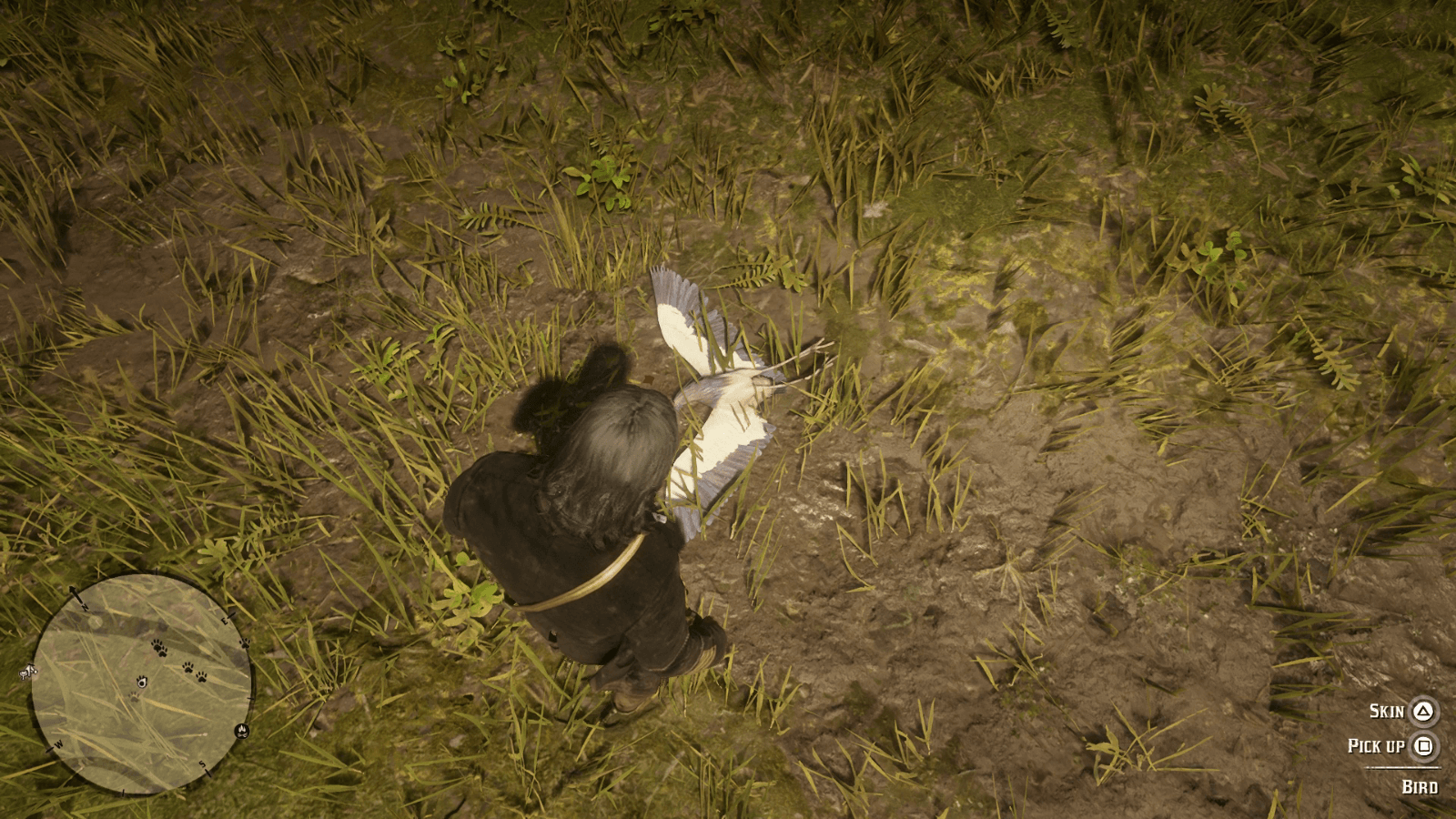 Exotics Collectibles - Red Dead Redemption 2 Walkthrough - Neoseeker