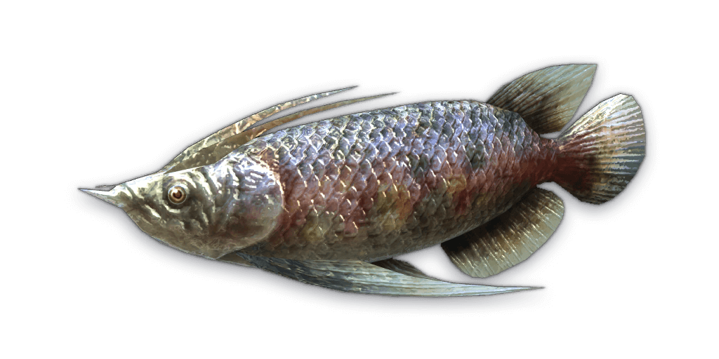 Fishing Notes - The Legend of Heroes: Trails through Daybreak II ...