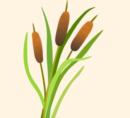 Out and About - Maps and Foraging Guide - Neoseeker