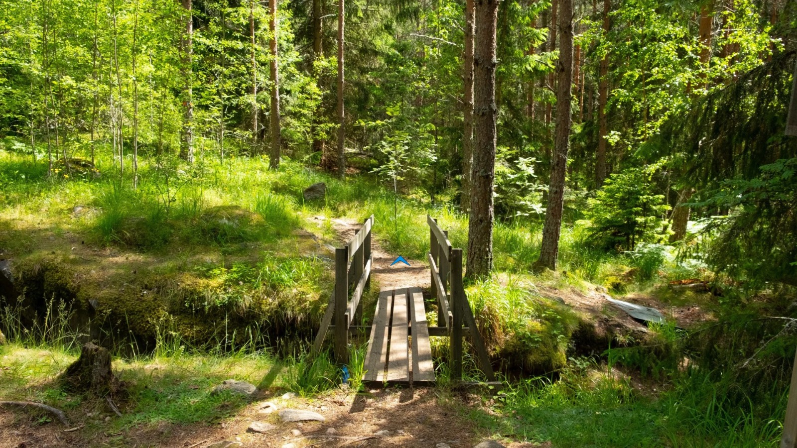 Mini Canyon (I) - The Game Maker Walkthrough - Neoseeker