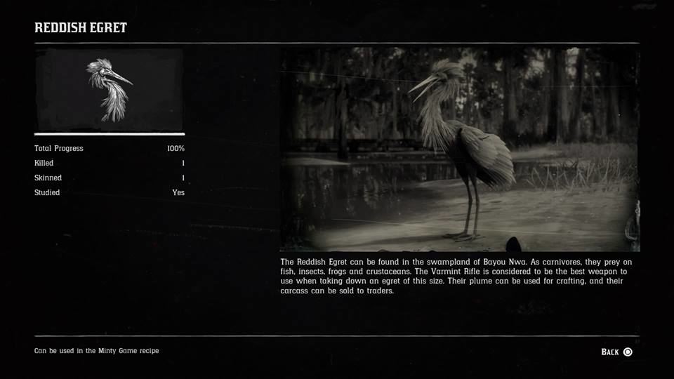 Hunting Page 4 - Red Dead Redemption 2 Walkthrough - Neoseeker