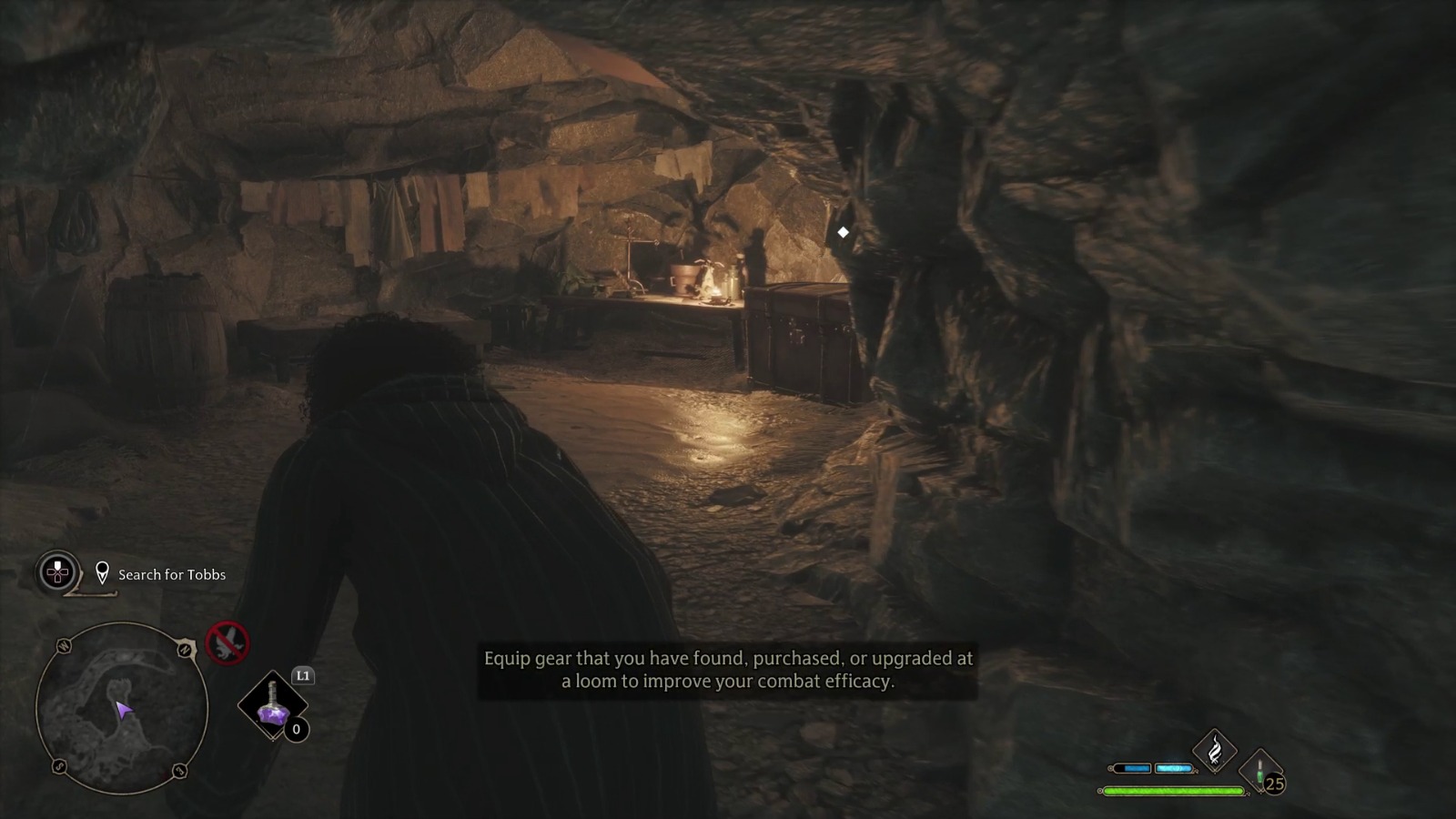 The Plight of the House-Elf - Hogwarts Legacy Walkthrough - Neoseeker