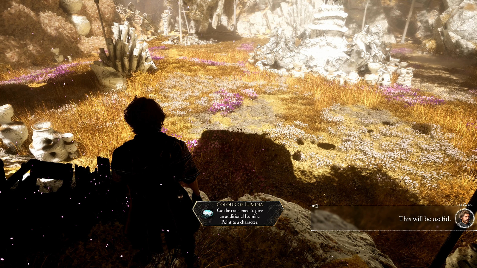 Yellow Harvest - Clair Obscur: Expedition 33 Walkthrough - Neoseeker