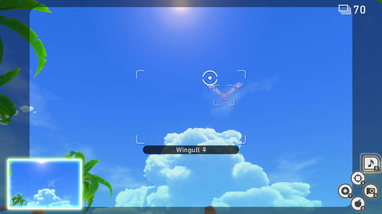 Beach - Day - New Pokémon Snap Walkthrough - Neoseeker