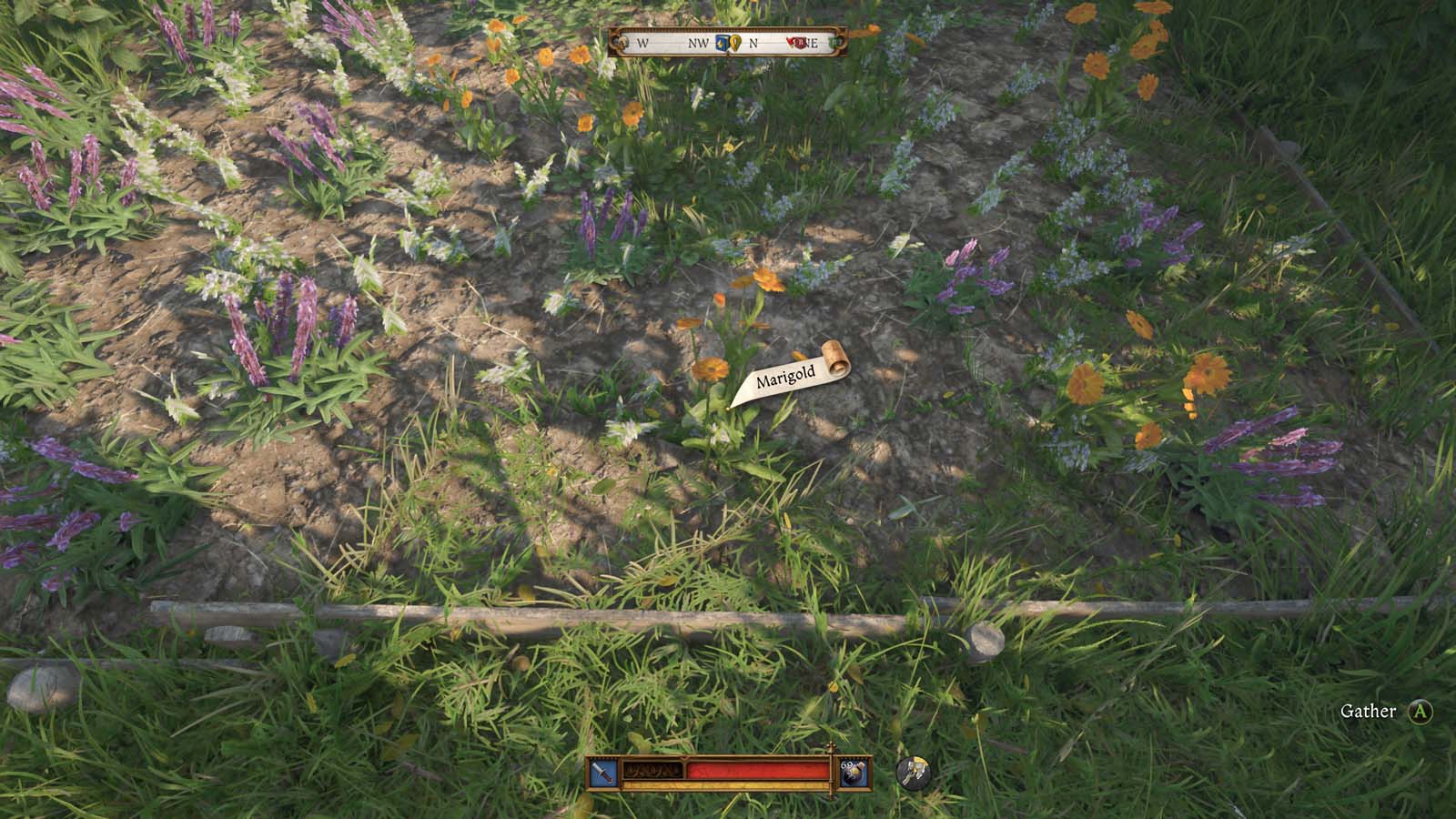 Forbidden Fruit Quest Guide - Kingdom Come: Deliverance II - Neoseeker