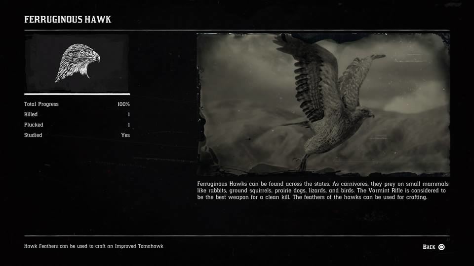 Hunting Page 5 - Red Dead Redemption 2 Walkthrough - Neoseeker