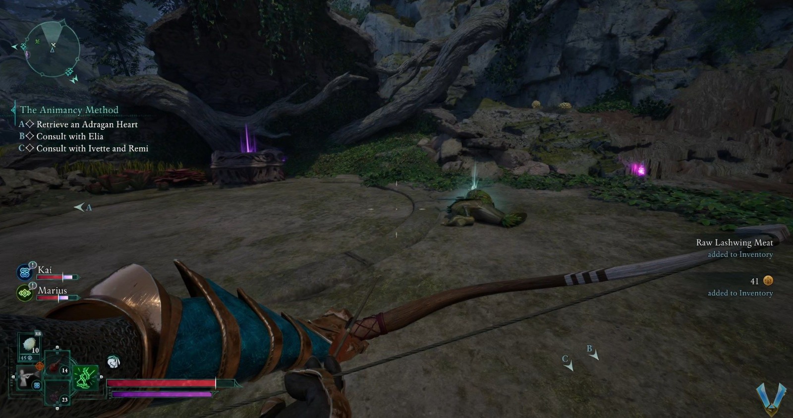 The Animancy Method - Avowed Walkthrough - Neoseeker