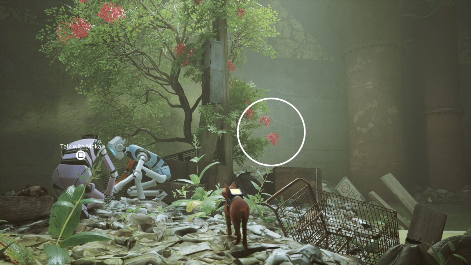 Antvillage - Stray (2022) Walkthrough and Guide - Neoseeker