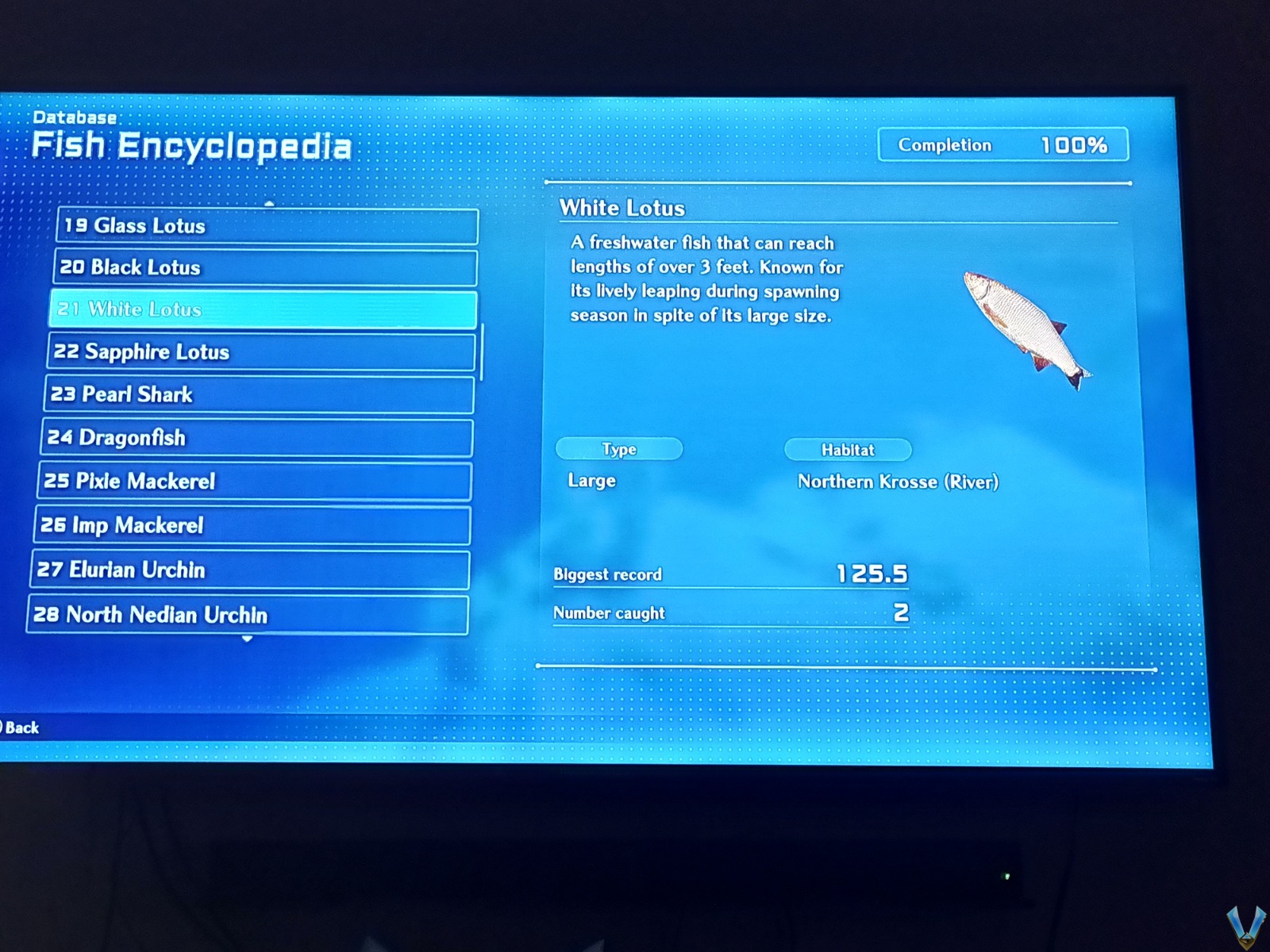 Star Ocean: The Second Story R - All Fish Locations Guide - Star Ocean ...