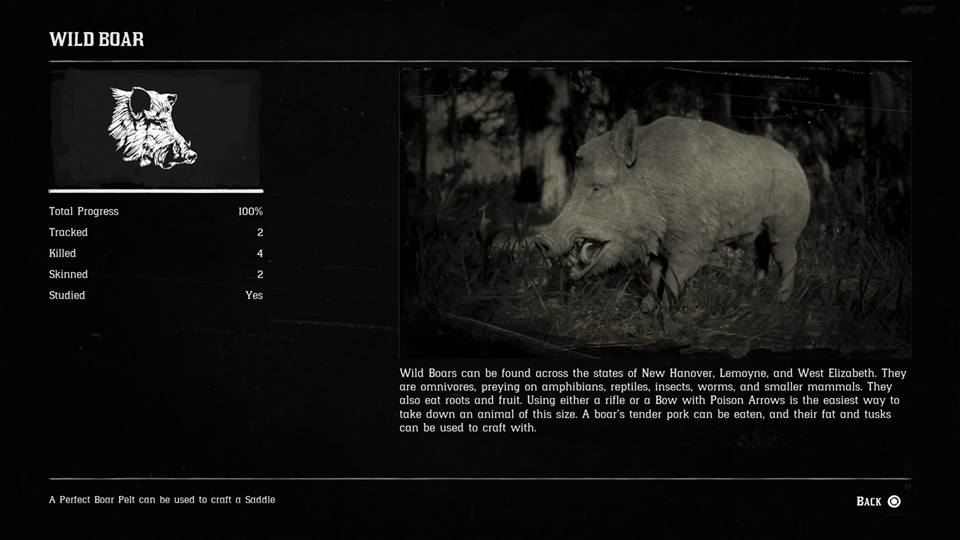 Hunting Page 1 - Red Dead Redemption 2 Walkthrough - Neoseeker